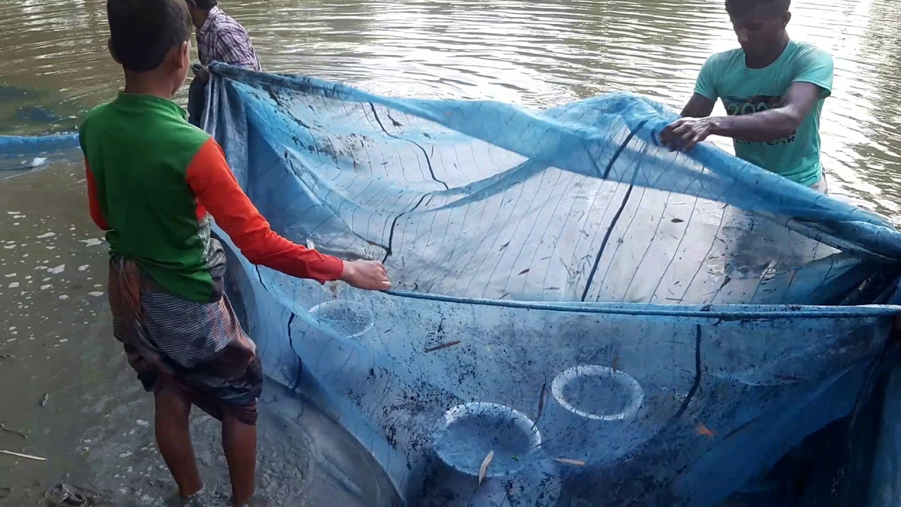 Big net fishing by villagers - YouTube