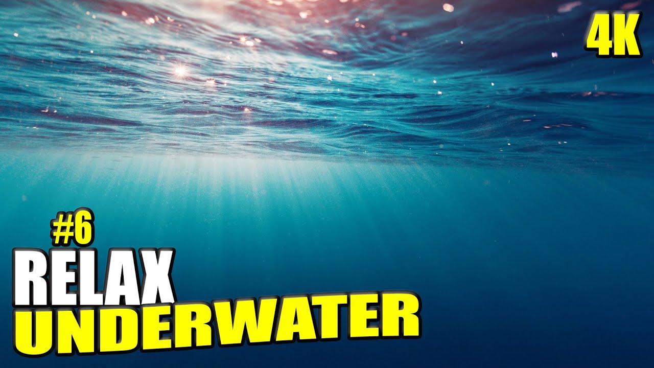 #6 Meditation Underwater Relaxing Fish Feeding Session | With Waves ...