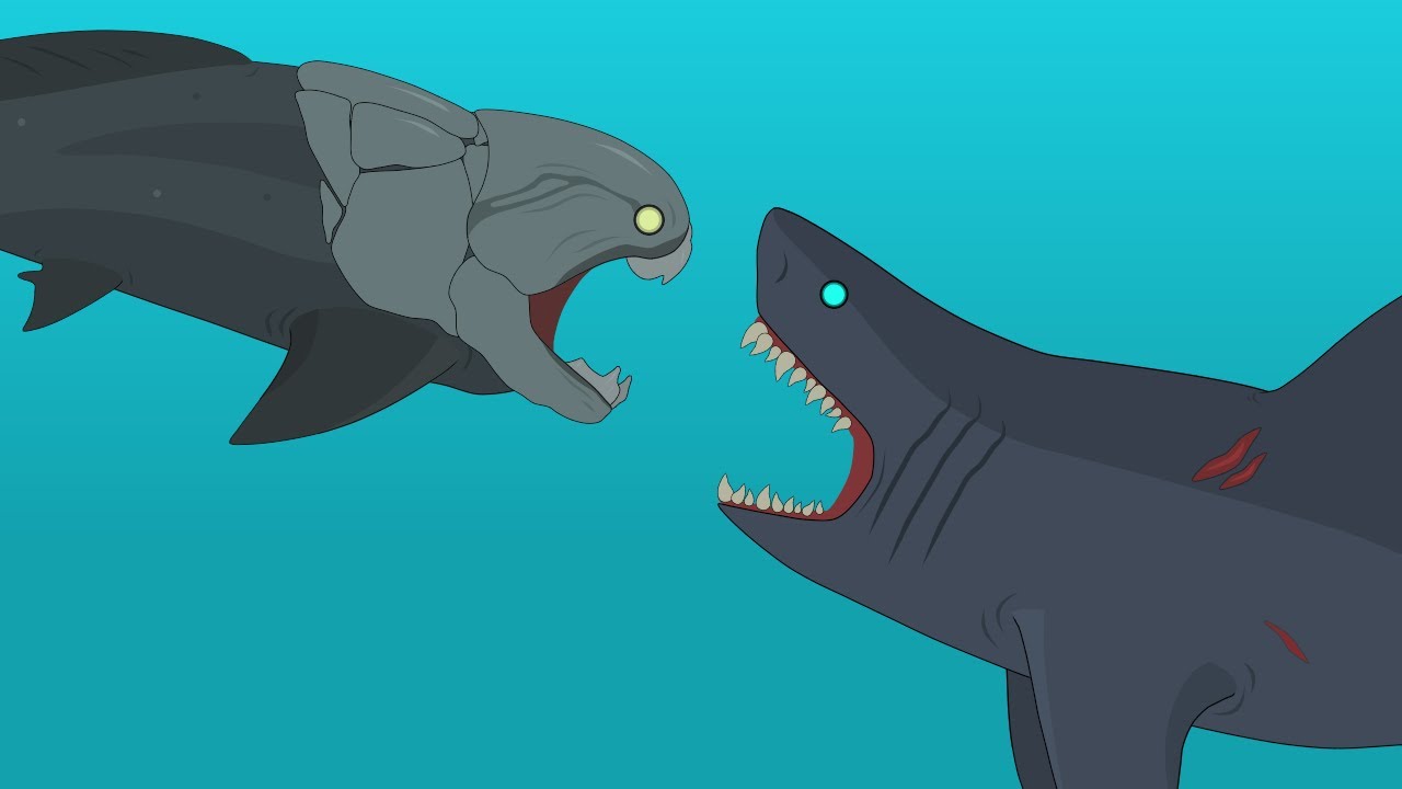 Battle of Megalodon against Dunkleosteus | Animation - YouTube