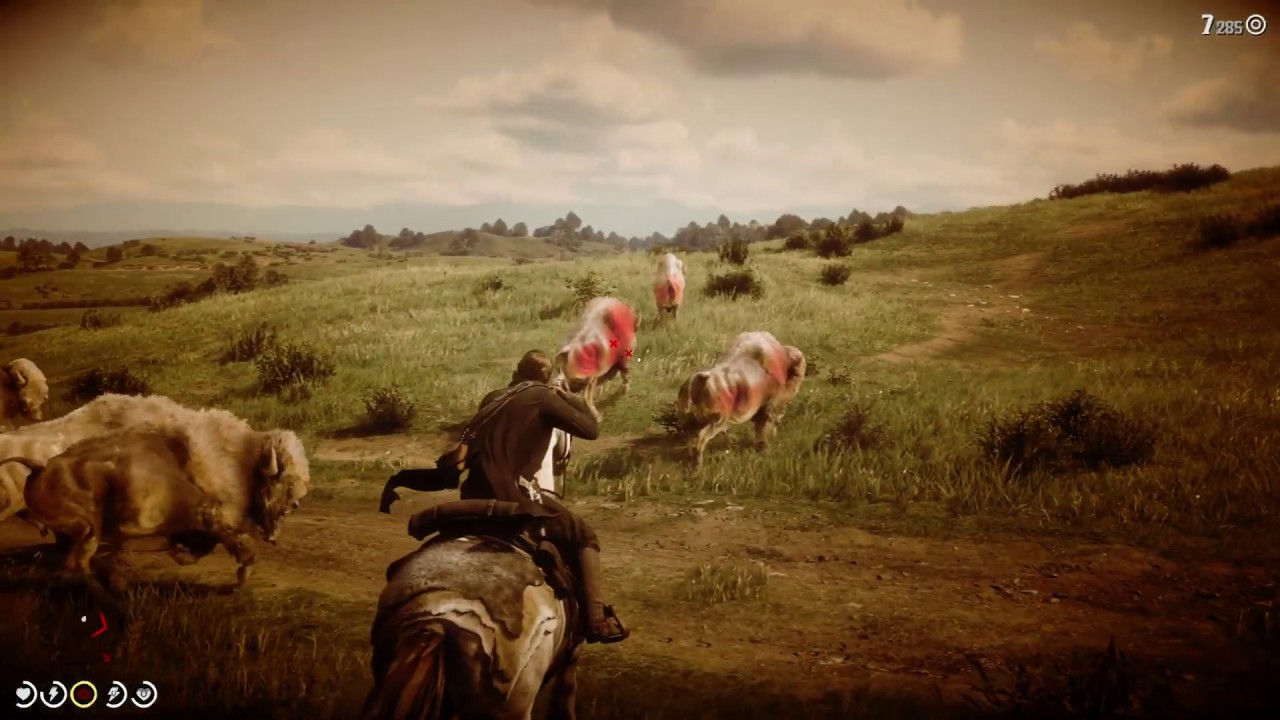 Red Dead Redemption 2 HERD OF BISON FOUND - 10+ American Bison - YouTube