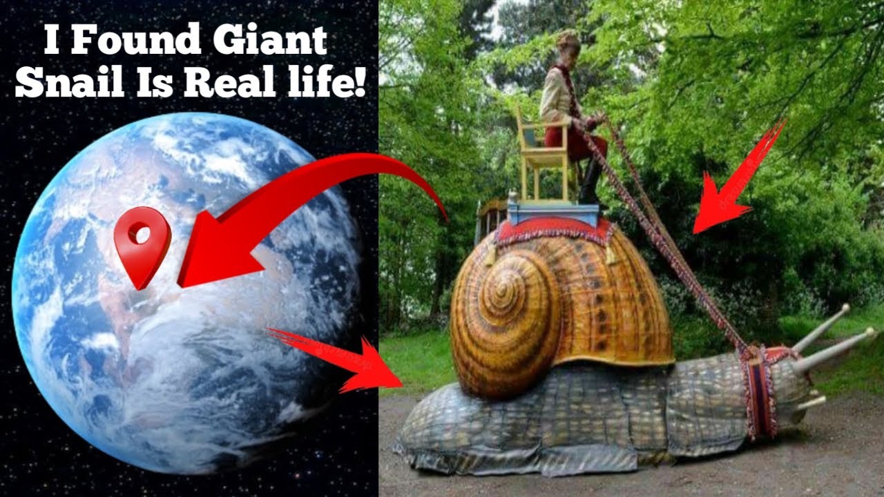 I Found Giant Snail Is Real life 🐌😶‍🌫️ on google maps and google earth ...