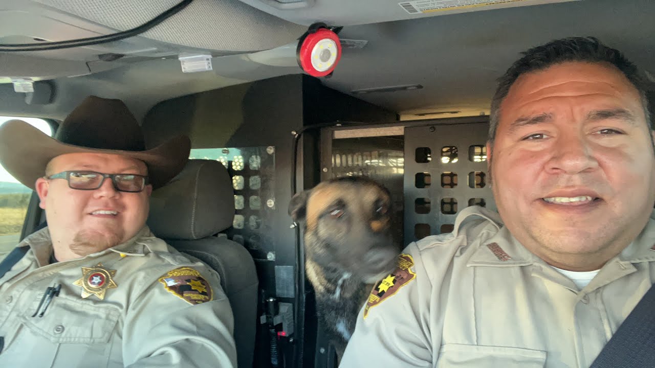 Friday Night Live Police Patrol With Deputy Sheriffs - YouTube