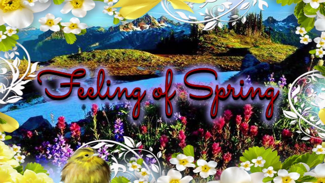 Feeling of Spring. Stress Relief Among Nature - YouTube