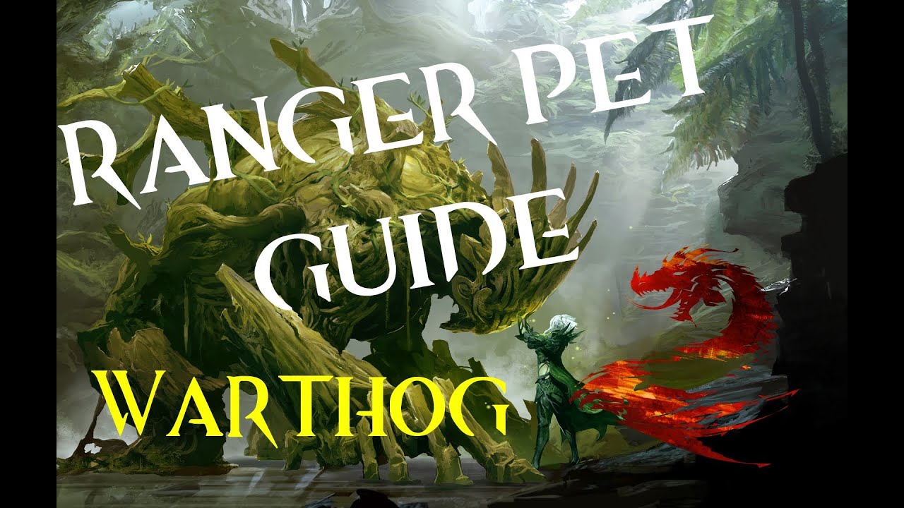 Guild Wars 2 - Warthog // Ranger Pet Guide - YouTube