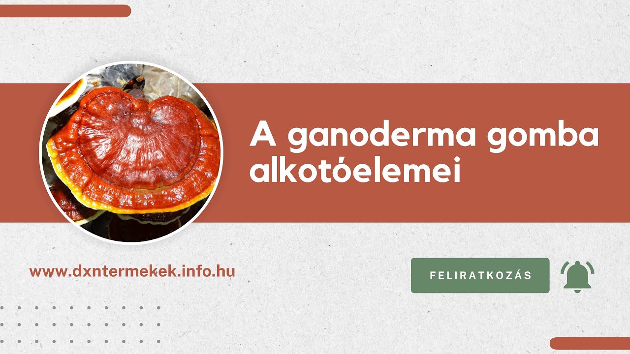 Ganoderma gomba alkotoelemei es hatasa, mire jo a ganoderma gyogygomba ...