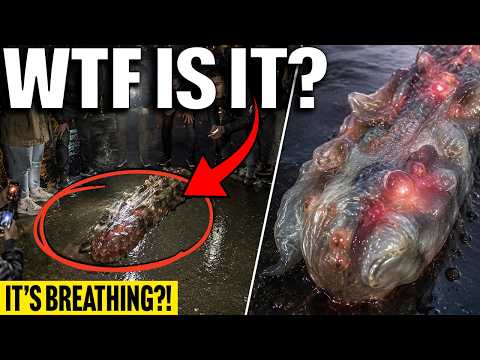 Something BIZARRE Was Found Alive... Nobody Can Explain What It Is! (Strange Sightings 2026)