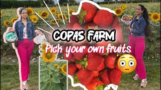 Copas farm || The fruit field || Pick your own fruits 🍒🫐🍓 || Ticket only £1 pounds 😱🫣  || London