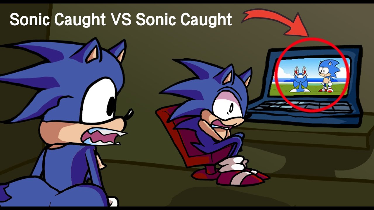 Hey Sonic what's up, OH GOD WHAT ARE YOU DOING! but only Sonic Caught ...