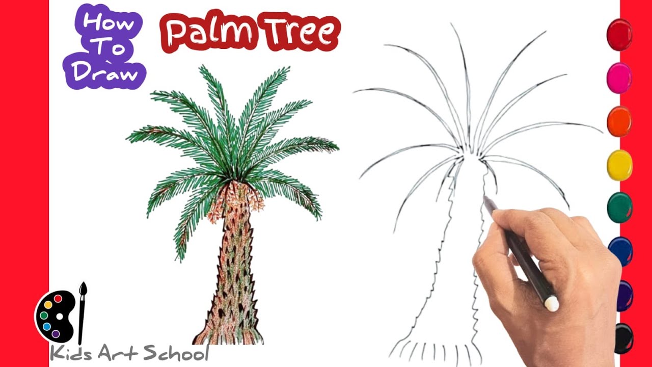 How to Draw Palm Tree |Date Palm Tree Drawing for kids| Date Palm ...