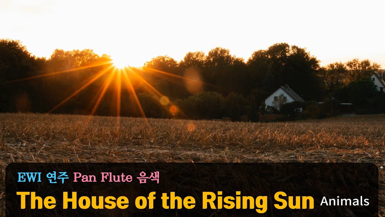 The House of the Rising Sun - EWI 연주(Pan Flute 음색) - YouTube