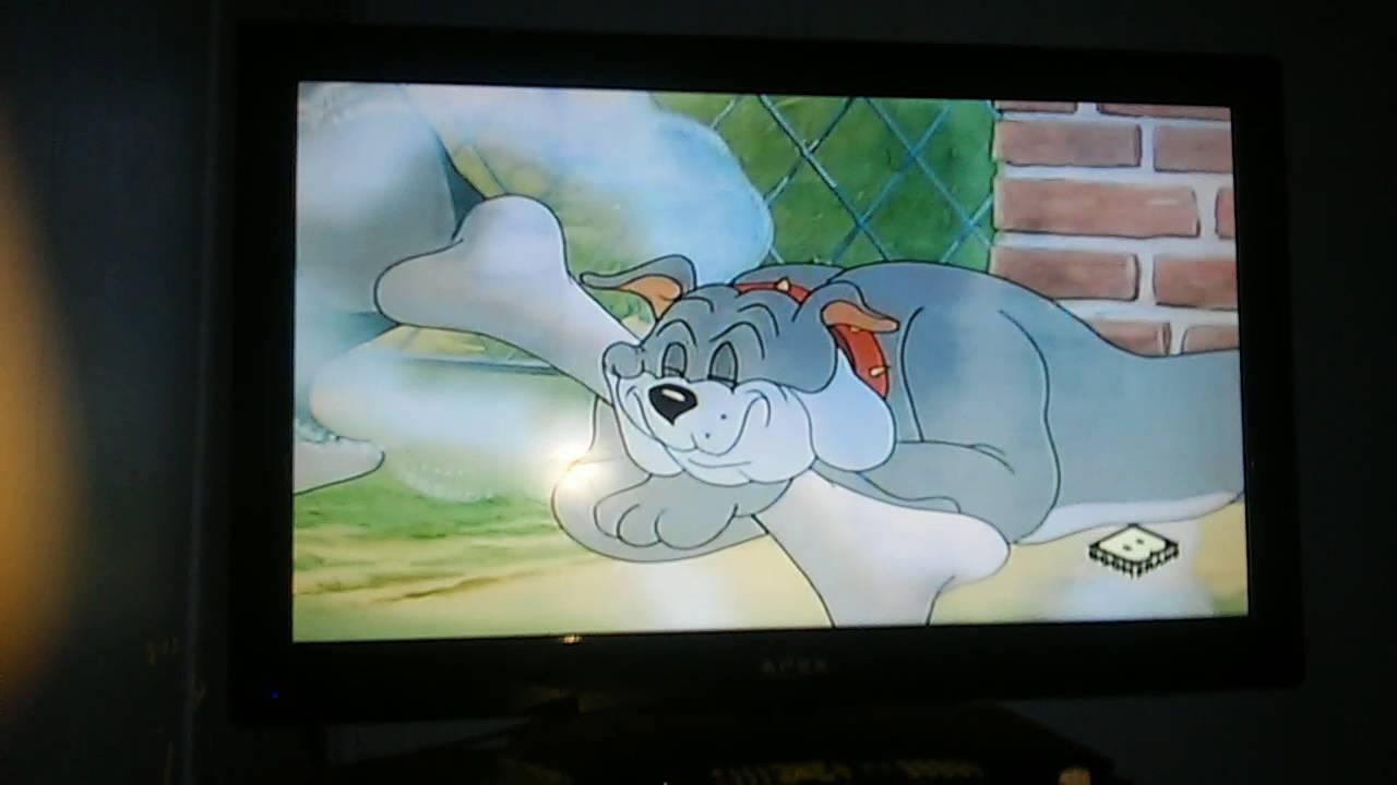 Tom and Jerry Fandubs (Smarty Cat) - YouTube