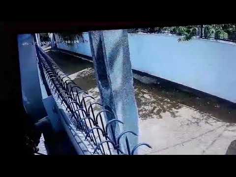 Palaturu-horu - YouTube