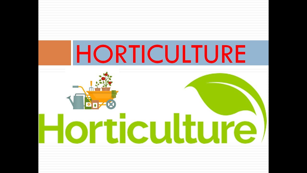 Horticulture - YouTube