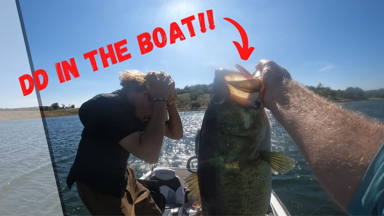 Catching GIANT crappie and TROPHY bass!! (DD ALERT) Over 30lb bag ...