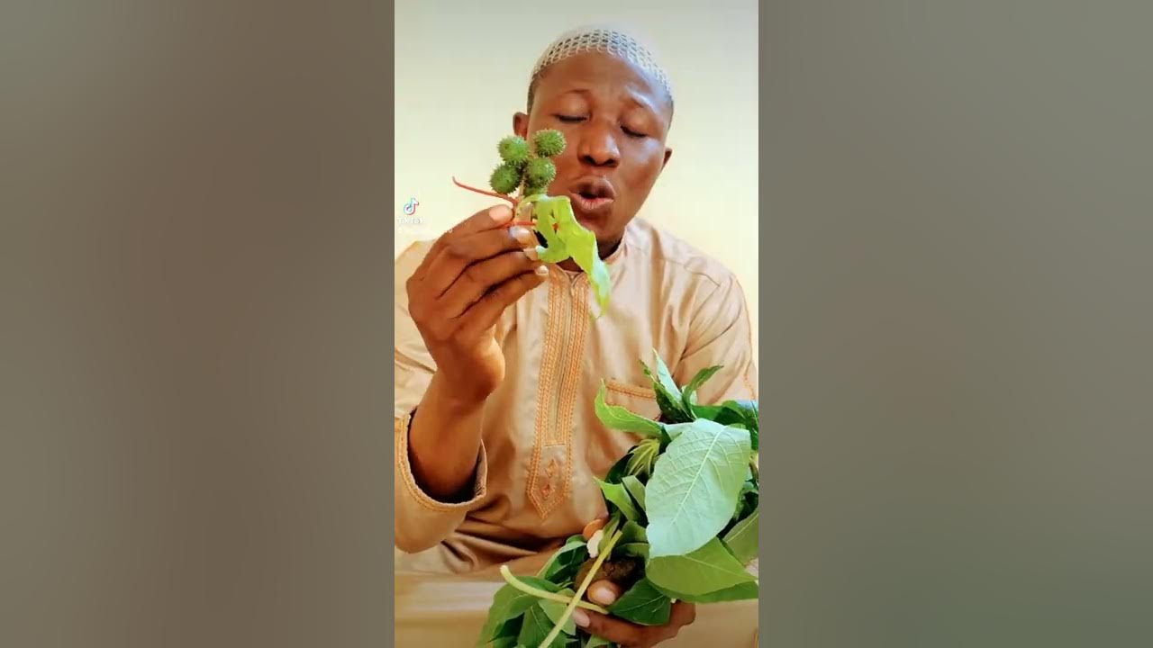 OGUN IDI YIYO/IROBO - YouTube