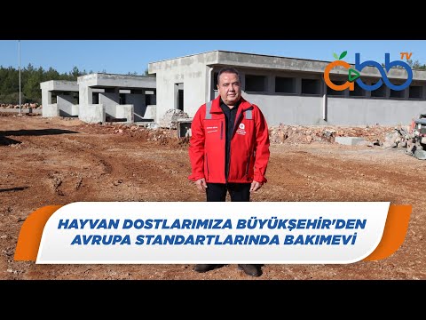 Hayvan Dostlarımıza Büyükşehir'den Avrupa Standartlarında Bakımevi | Antalya