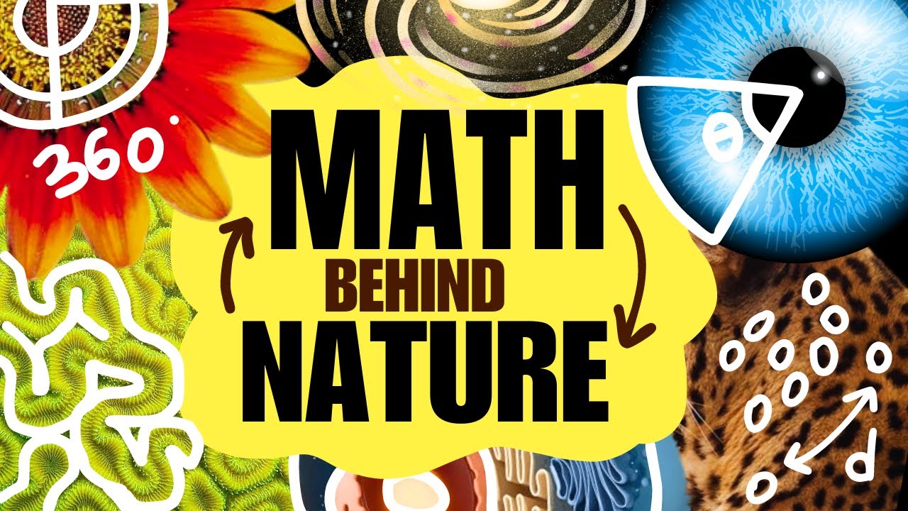 Math behind Nature ! - YouTube