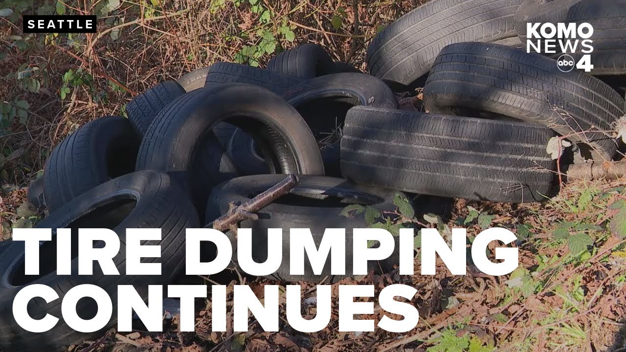 Community cleanup leader urges city action as tire dumping continues in ...