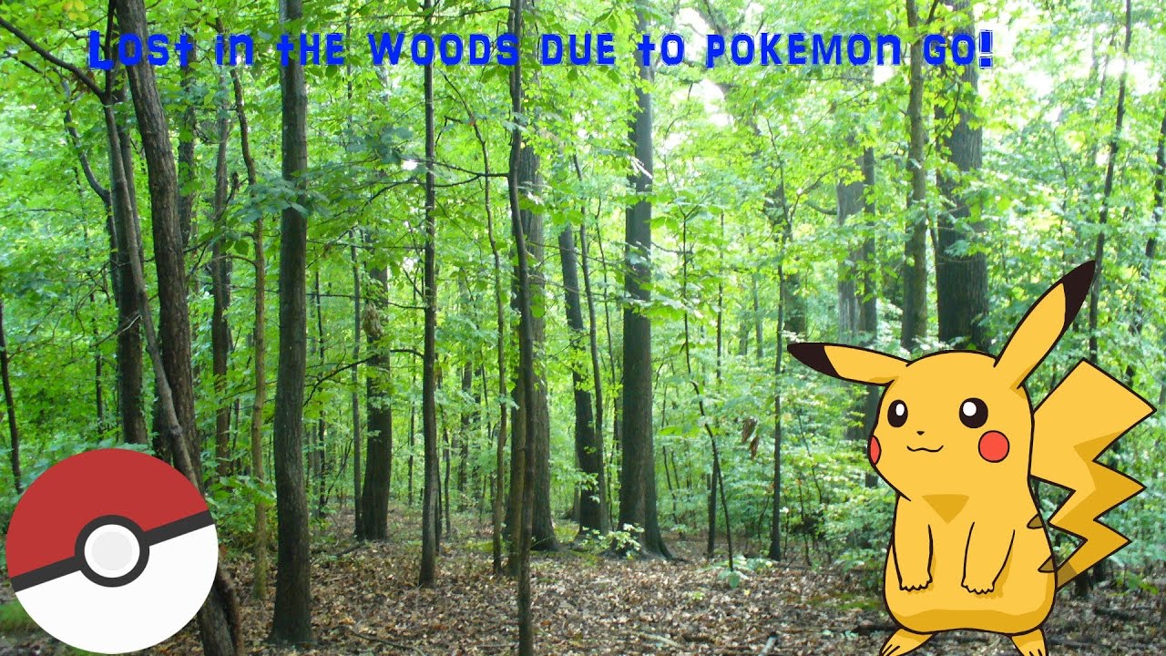 Lost in the woods due to Pokemon go - YouTube