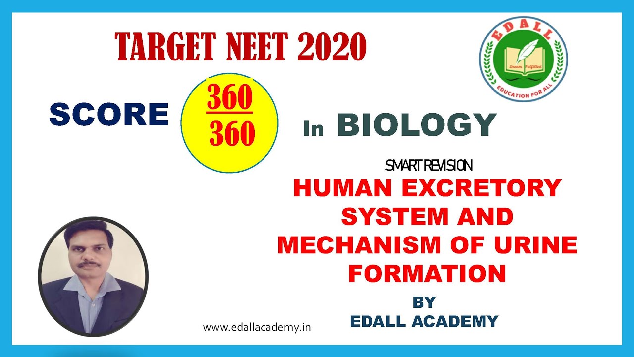 Human Excretory System and Mechanism of Urine Formation | NCERT 11th ...