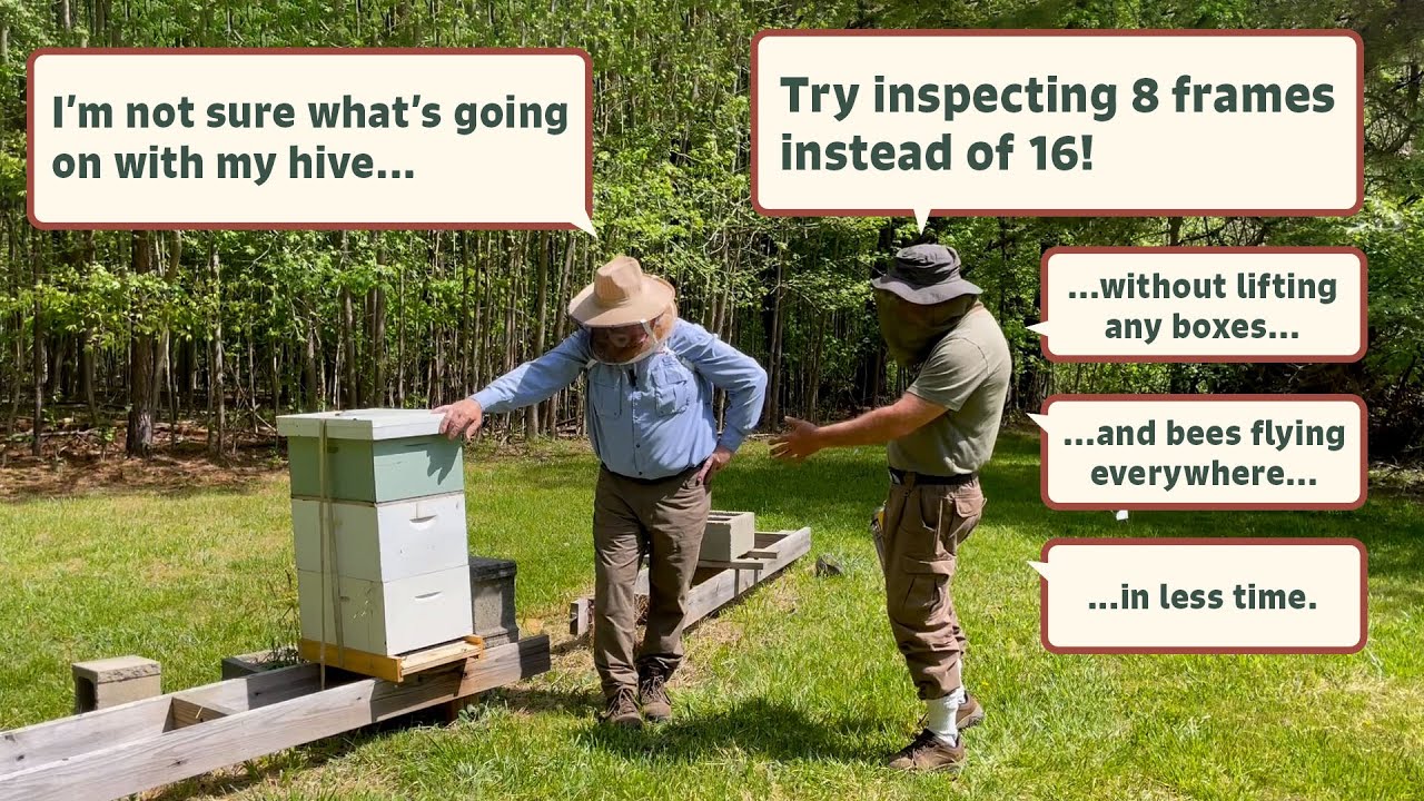 New Beekeeper? End The Confusion! Lift Fewer Boxes, Disrupt Fewer Bees ...