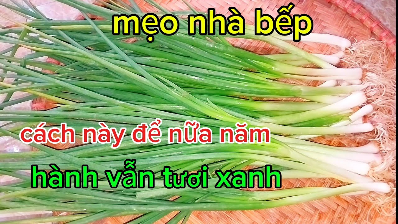 Cách Bảo Quản Hành Lá Tươi Lâu Không Mất Mùi Nhờ Mẹo Nhỏ Này Youtube