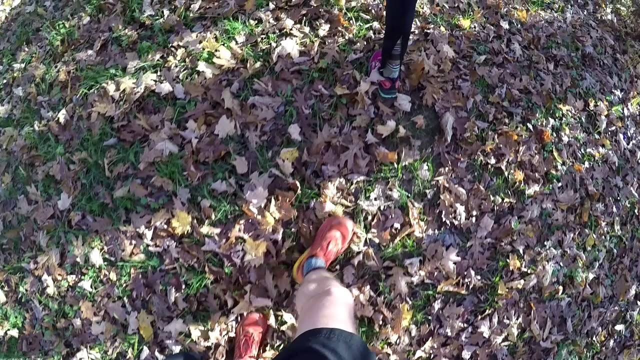 OO Birkie Trail Run, Hayward WI - YouTube