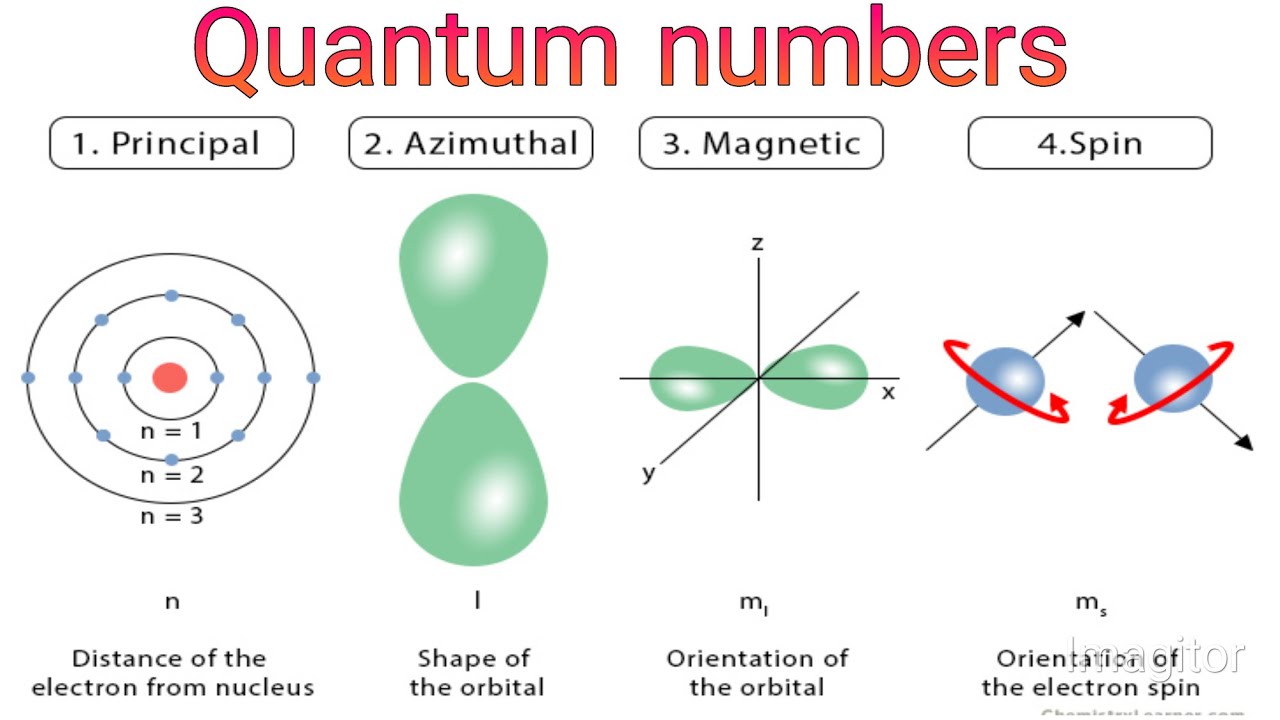 Quantum numbers |Principle, Azimuthal, magnetic and spin Q. Number ...