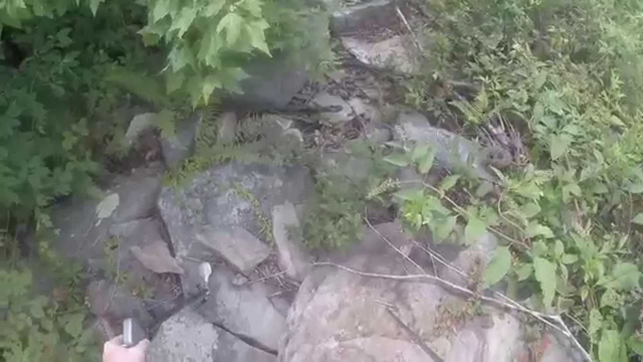 Hunting Timber Rattlesnakes in Tennessee with gopro - YouTube