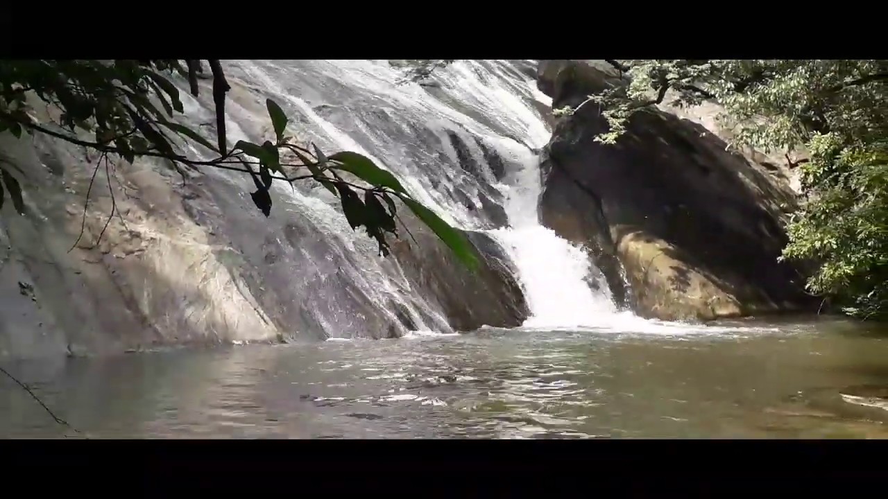 Hiking Through Western Ghats|Hidden Dhoni Falls - YouTube