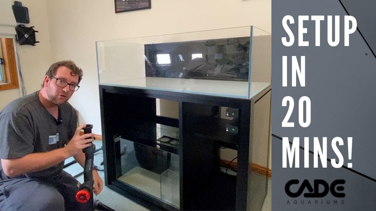 Setting up a new CADE Frag Tank - in 20 minutes!!! - YouTube