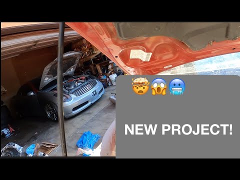 MY NEW PROJECT CAR! - YouTube