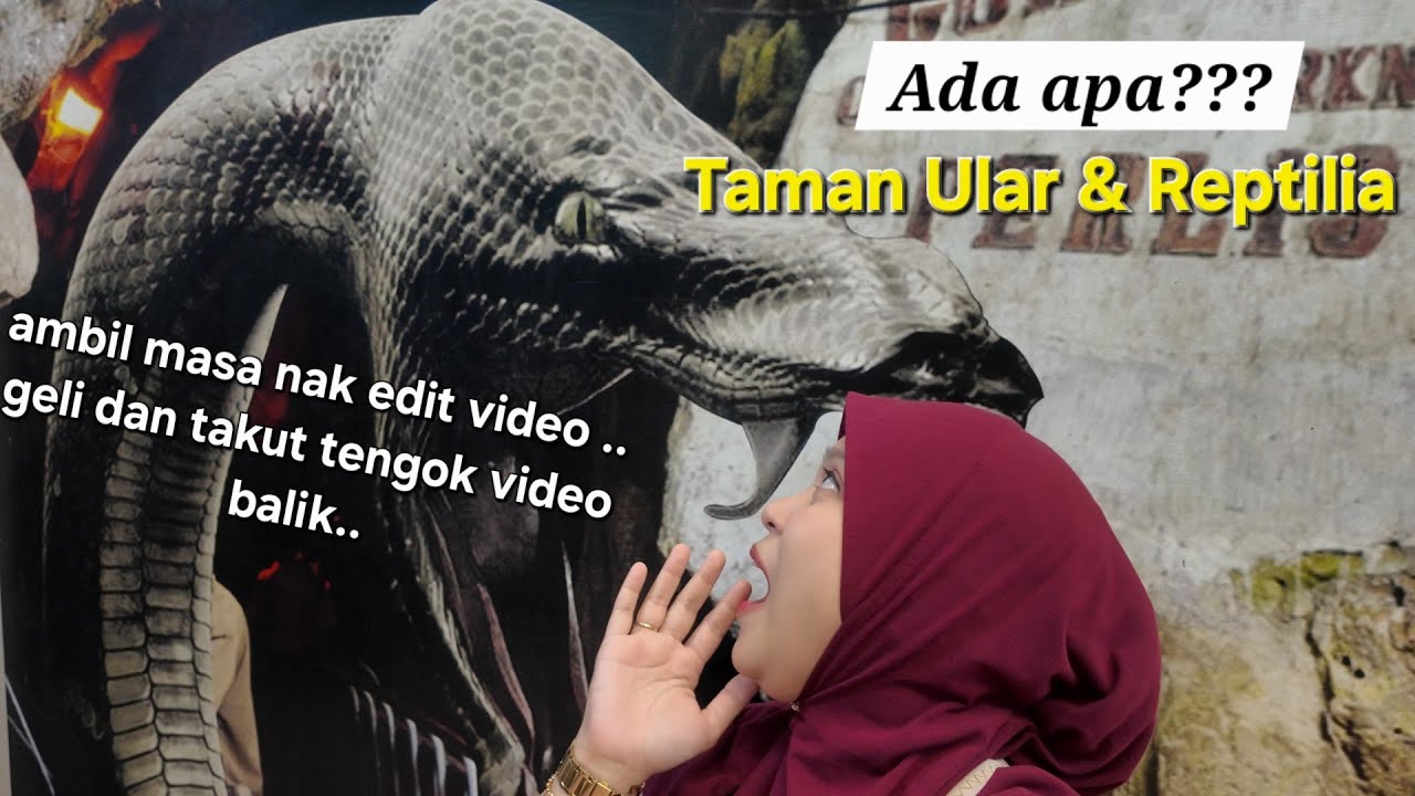 TAMAN ULAR & REPTILIA NEGERI PERLIS l FULL REVIEW l 2025 - YouTube