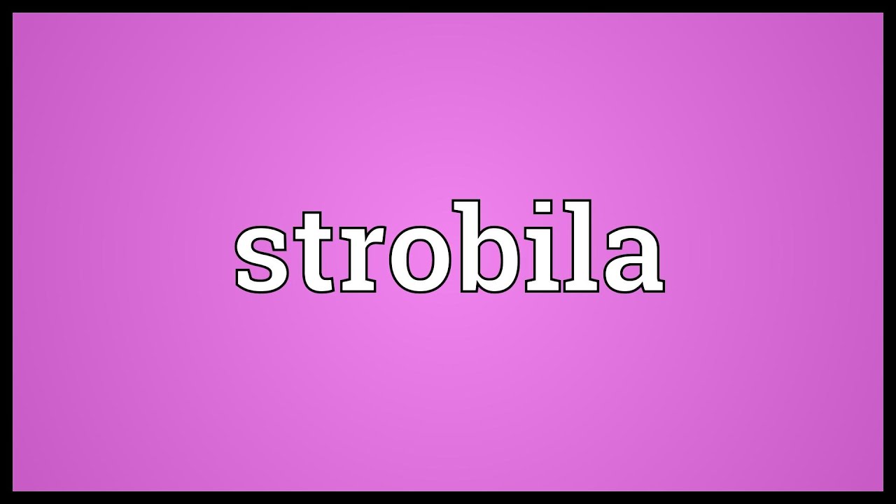 Strobila Meaning - YouTube
