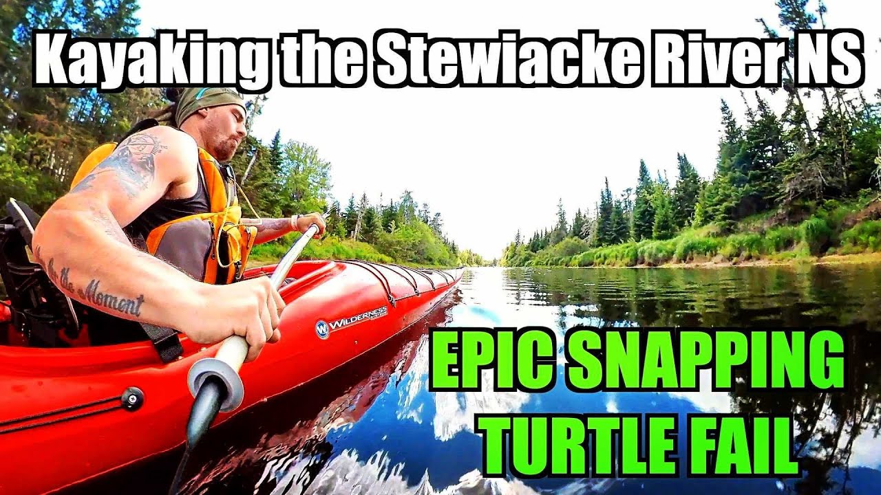 Kayaking the Stewiacke River in NS Canada. Check out this epic snapping ...