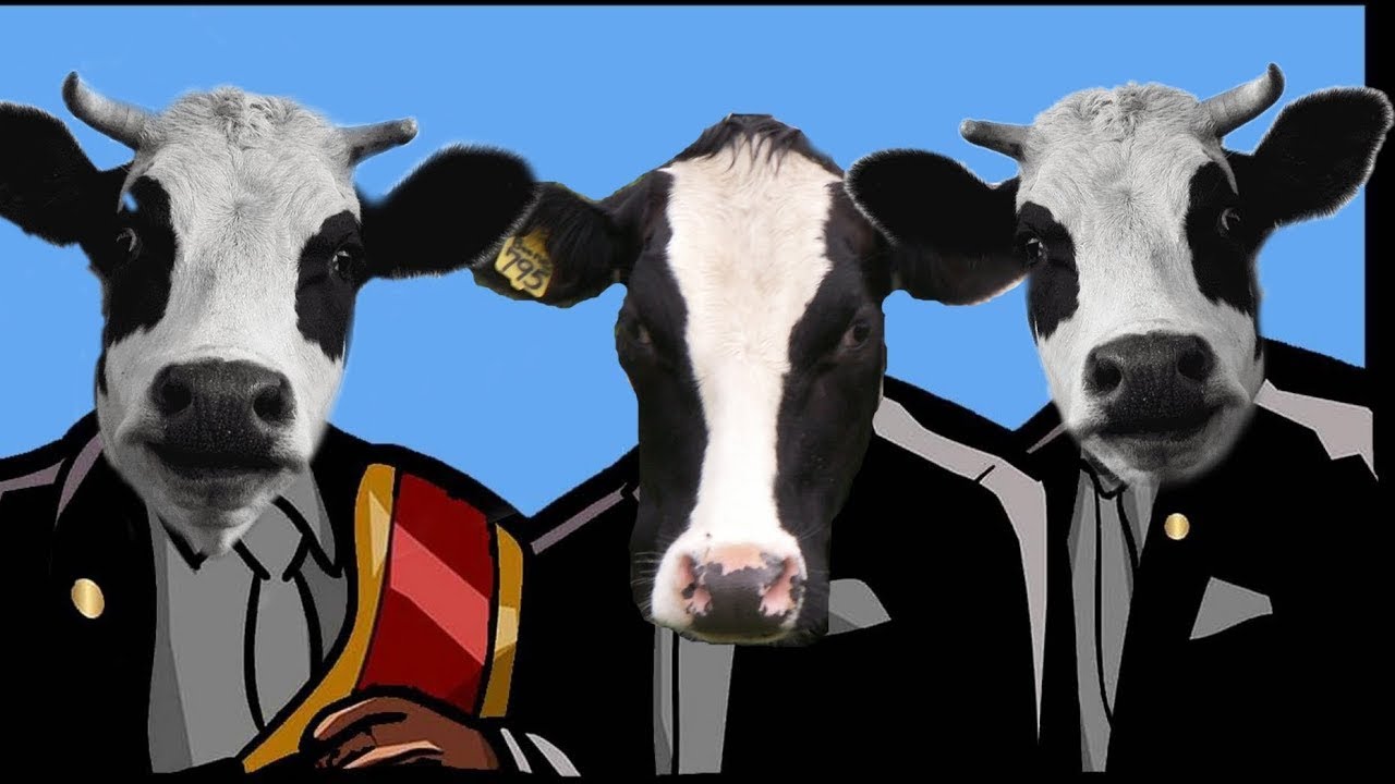 FUNNY COW - Coffin Dance Song (COVER) - YouTube