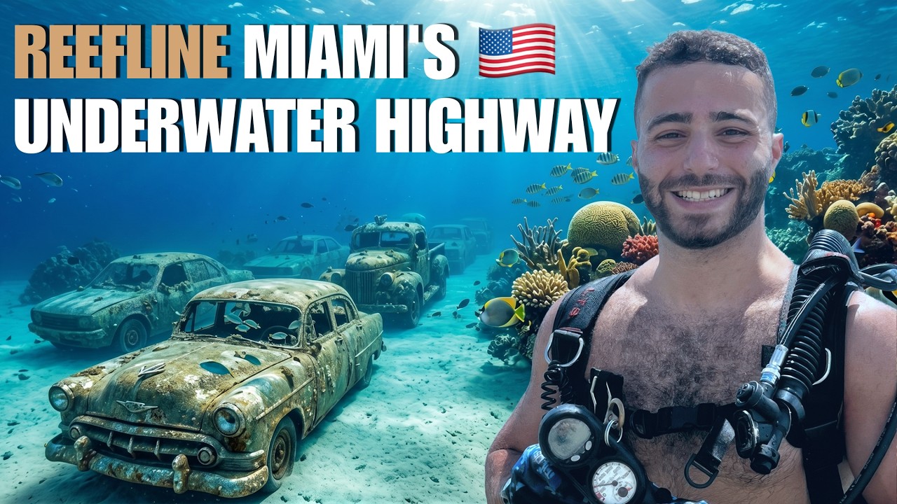 Scuba Diving Miami's Underwater Highway (Reefline) - YouTube