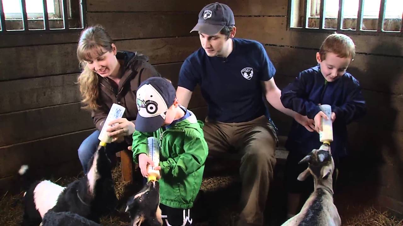 Farm Babies416 - YouTube