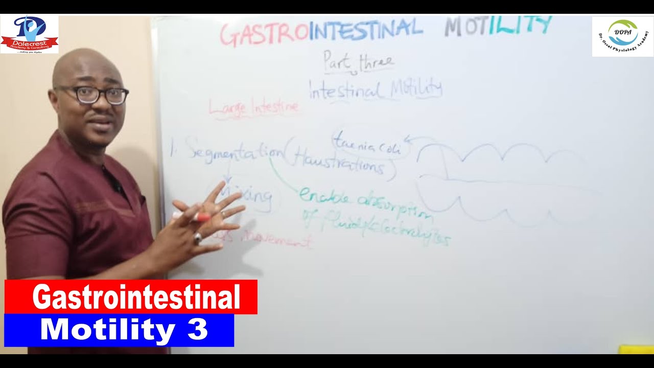 Gastrointestinal Motility – 3 (Intestinal Motility) - YouTube