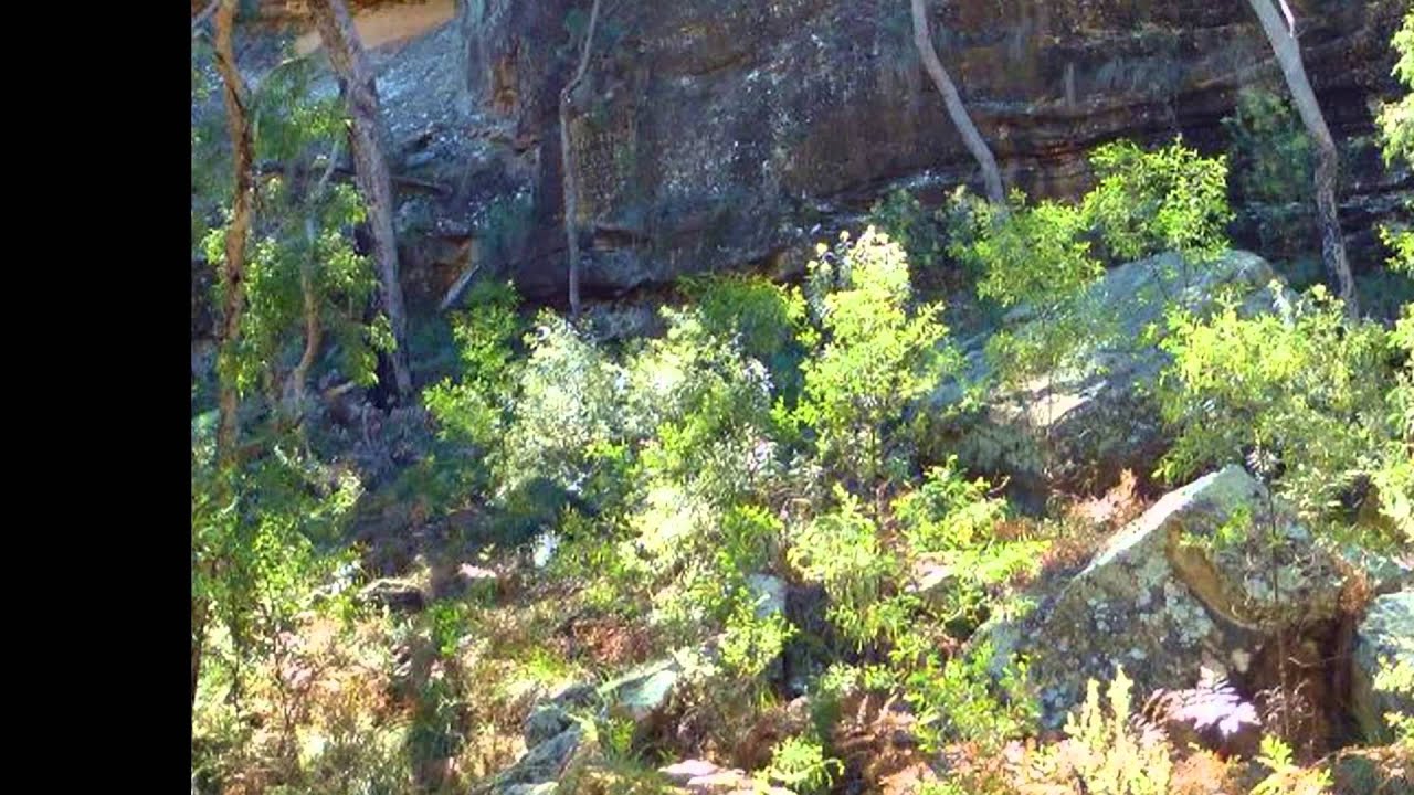 THE FANTASTIC, SCULPTURES IN THE SCRUB. Pilliga region, NSW. - YouTube
