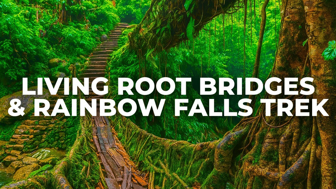 Living Root Bridge Trek Meghalaya │ Double Decker Root Bridge in ...