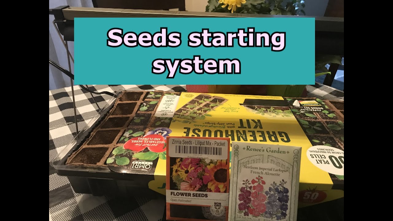 My First Indoor Seed Starting System - Small and Simple Setup . What I ...