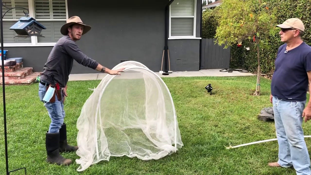 Building Moth Netting for Cannabis Plants - YouTube