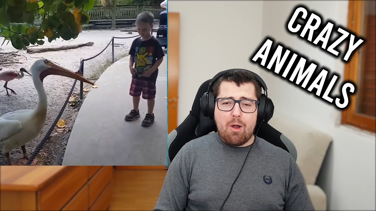 ANIMALS THAT SCARE KIDS AT THE ZOO REACTION *HILARIOUS* - YouTube
