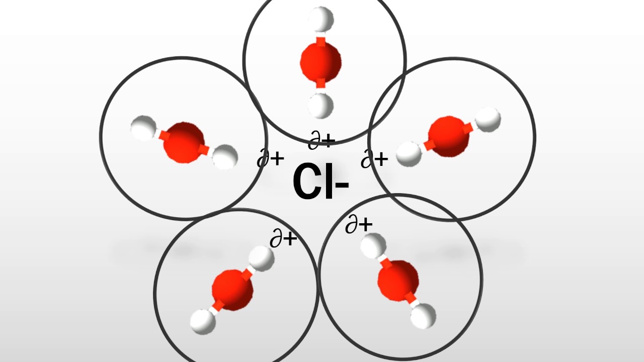 Moléculas Hidrófilas - YouTube