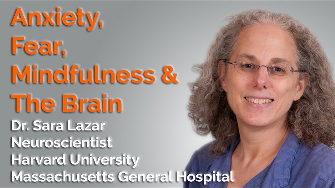 Anxiety, Fear, Mindfulness & The Brain by Dr. Sara Lazar - YouTube
