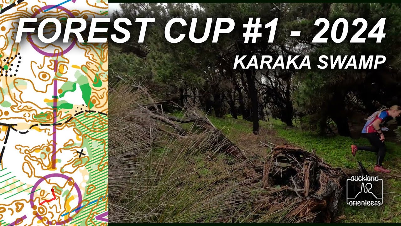Forest Cup 1 - 2024 - YouTube