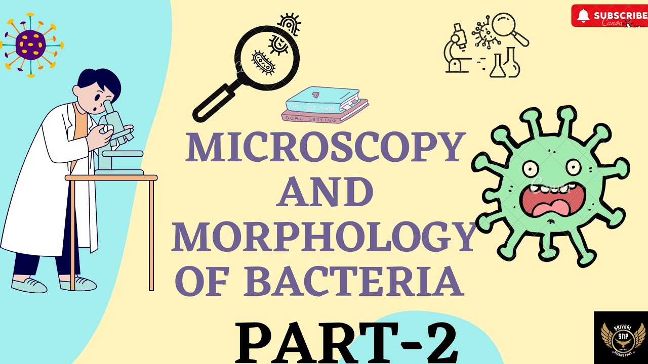 Microscopy & morphology of Bacteria Part-2||Anatomy of Bacteria ...