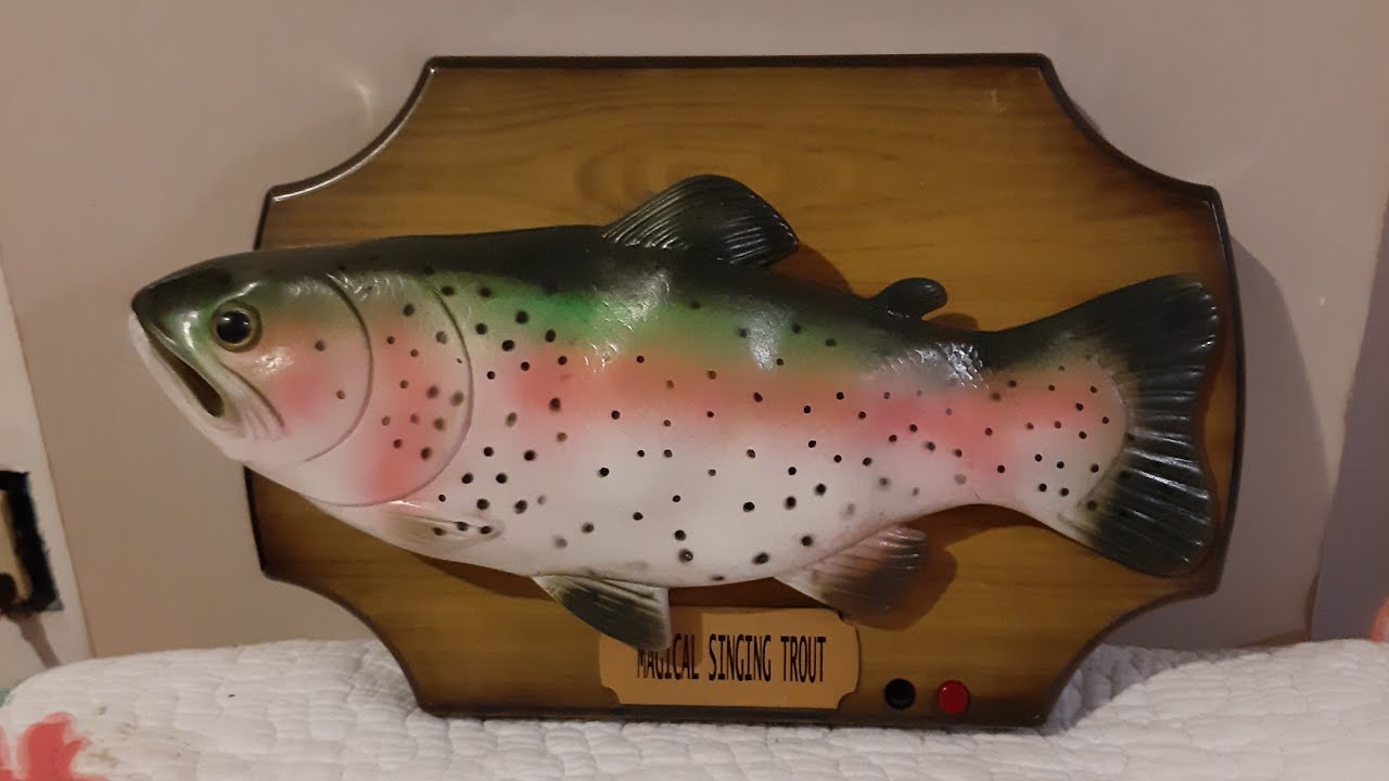 Magical Singing Trout Fish (Factored Audio) - YouTube