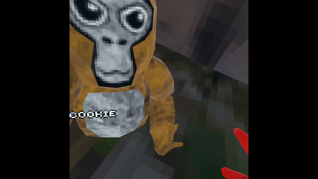 trolling as Pbbv and Daisy09 in gorilla tag pt.2 - YouTube